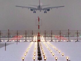 ALCMS Resilience Audit | ALCMS Inspection, Compliance Report